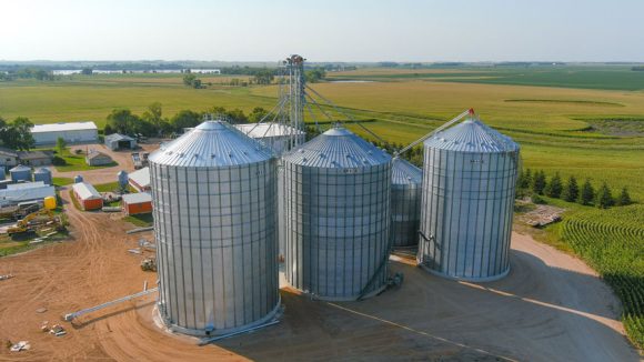 Generations and Storage Bins Come in Multiples at Larson Farms - Brock News